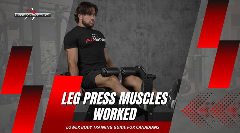 Leg Press Muscles Worked: Lower Body Training Guide for Canadians ...