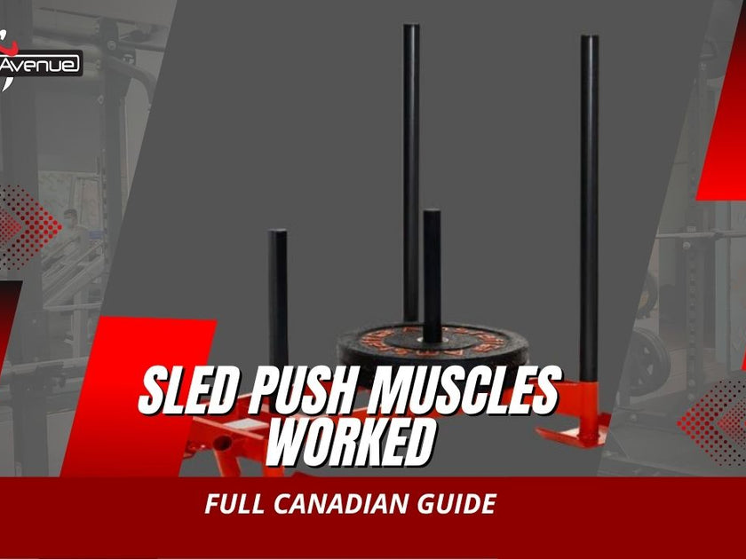 Hip Abduction Machine in Canada (With Video Exercise Guide & Tips ...