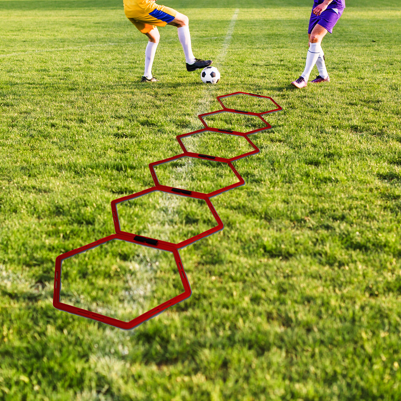 Agility Grid System – Fitness Avenue