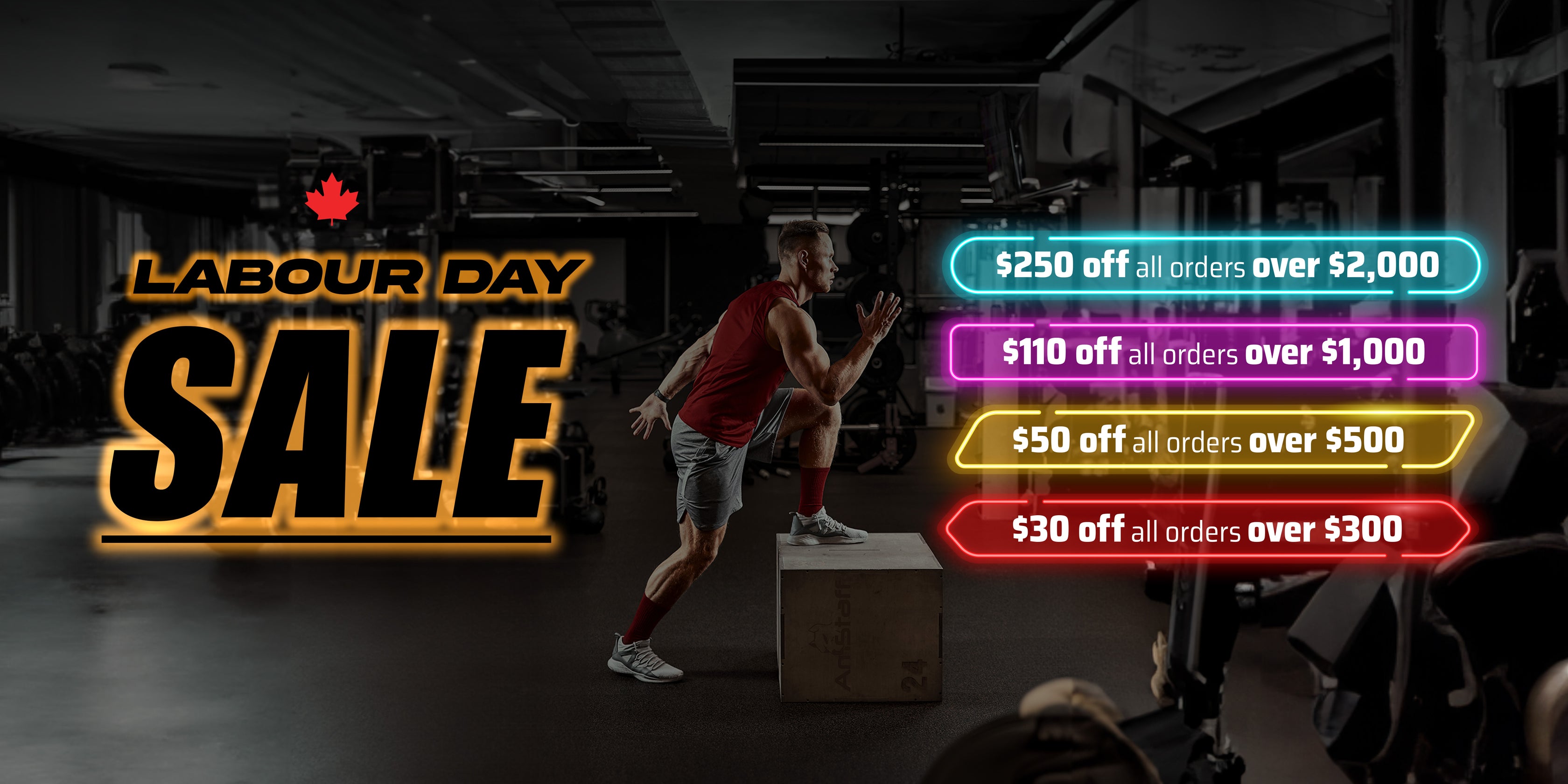 Exercise & Fitness, Gym Equipment Sale Canada | Fitness Avenue