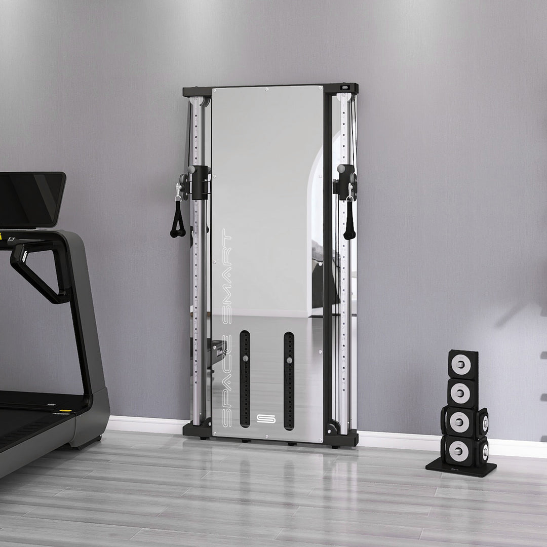 SpaceSmart: Wall-Mount Compact Functional Trainer - Mirror – Fitness Avenue