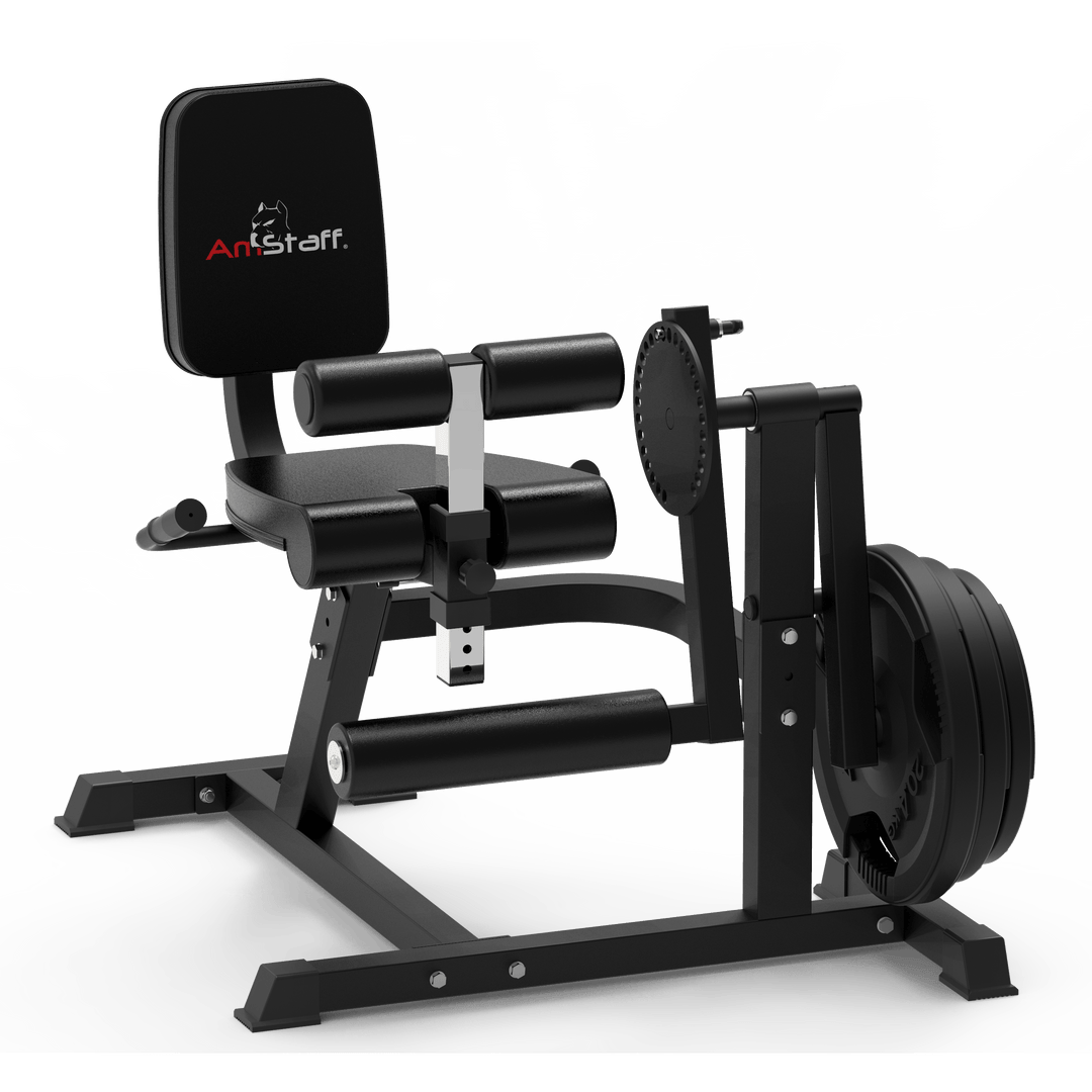 Lower Body Exercise & Leg Press Machines Canada – Fitness Avenue
